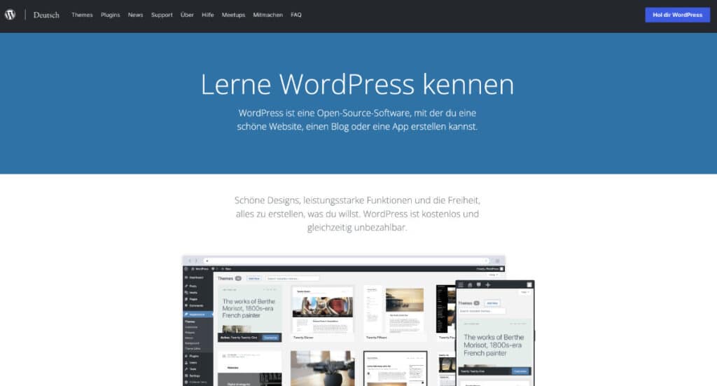 10 WordPress Vorteile, die du unbedingt kennen MUSST - Plentyflow.de